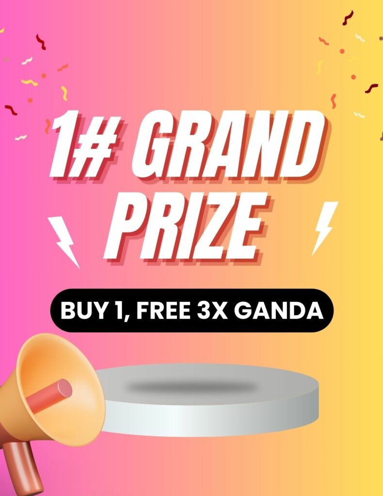 Wabot Year End Sale 2024